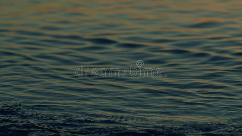 Water Ripple Background Texture. Sunlight Reflect on Water Surface ...