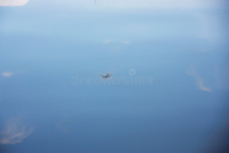 Water ripple stock image. Image of bright, drop, wave - 97388551