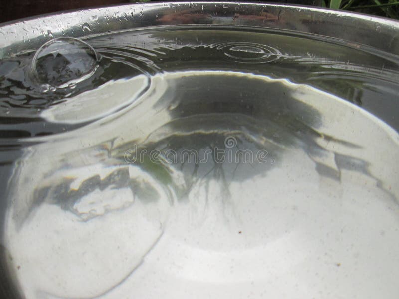 Water Ripple in Bowl. stock photo. Image of splash, environment - 101037664