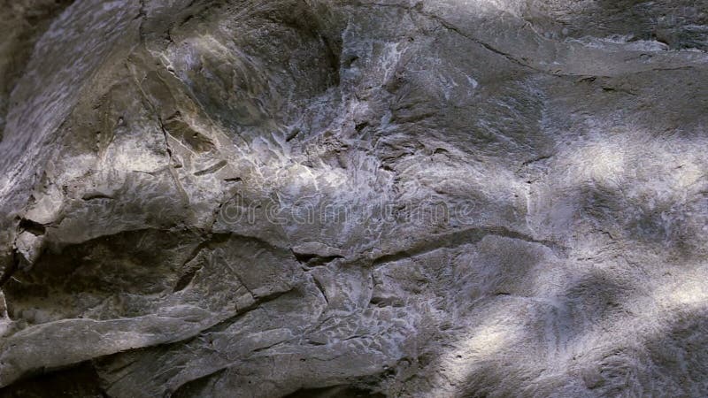 Water Ripple Caustic Light Reflections on Stone Wall Stock Video ...