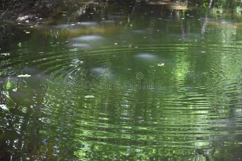 Water ripple stock photo. Image of created, rock, ripple - 96449034