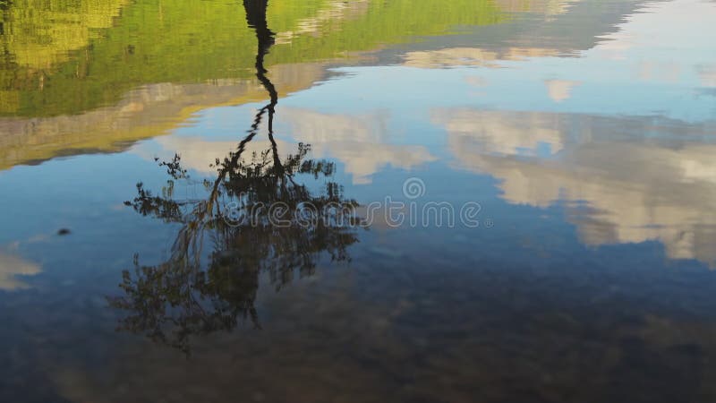 Water Ripple Lake Reflection of Tree Silhouette - High Angle Static Vi ...