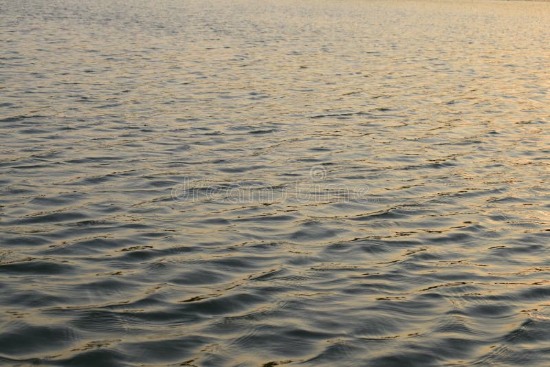 Water Ripple on Lake Surface Stock Image - Image of backdrop ...