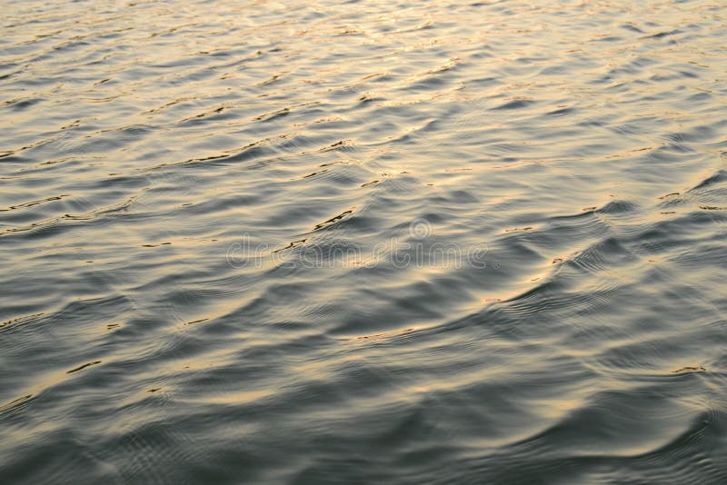 Water Ripple on Lake Surface Stock Image - Image of liquid, ecology ...