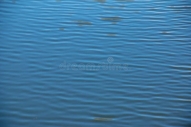 Water, Ripple and Nature with Environment River with Waves, Calm and ...