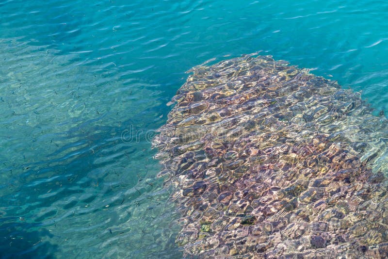 Water Ripple Over Rocks in the Beach Stock Image - Image of colorful ...