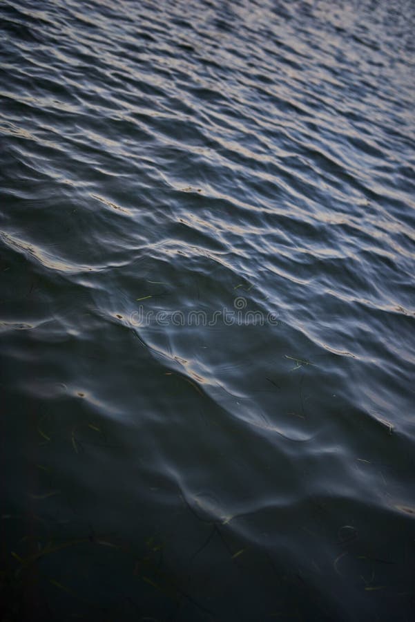 Water Ripple Pattern in Ocean Stock Image - Image of clean, atlantic ...