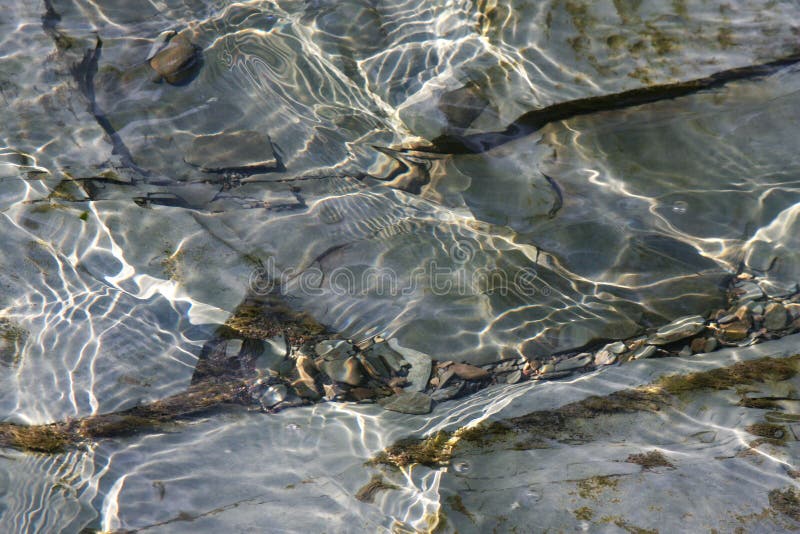 Water Ripple Patterns in Shallow Stream Stock Image - Image of surface ...