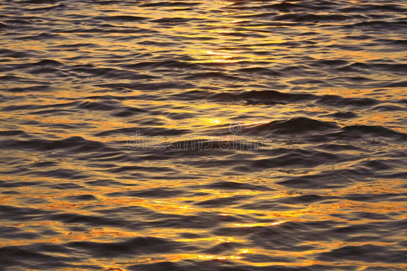Water Ripple on the Sea during Golden Sunset. Stock Photo - Image of ...
