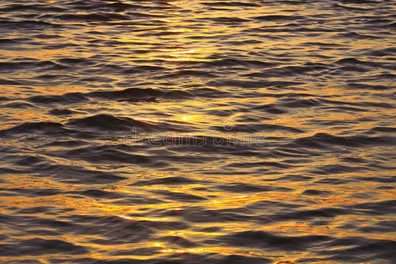 Water Ripple on the Sea during Golden Sunset. Stock Image - Image of ...