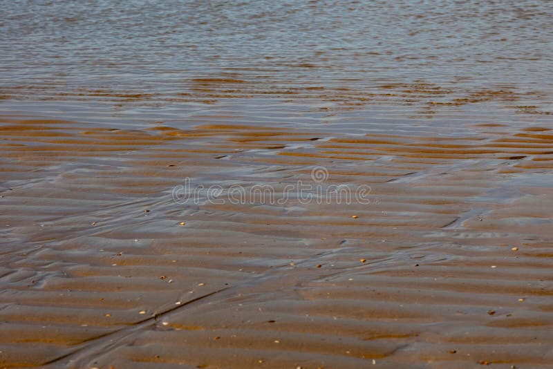Water on Rippled Sand on a Beach Stock Photo - Image of abstract, sunny ...