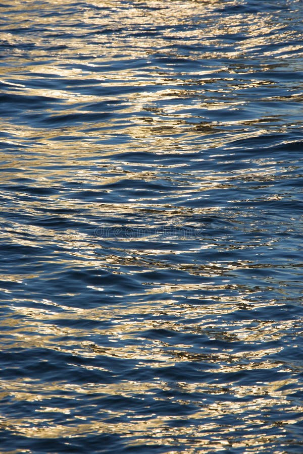 Water ripples. stock photo. Image of vertical, maui, waves - 3467944