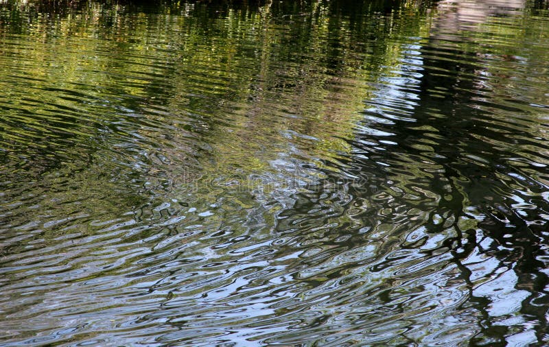 Rushing Stream stock image. Image of crash, flow, motion - 6199093