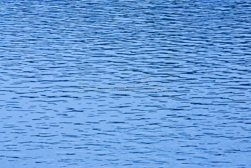 Water Ripples on Lake stock photo. Image of background - 11630440