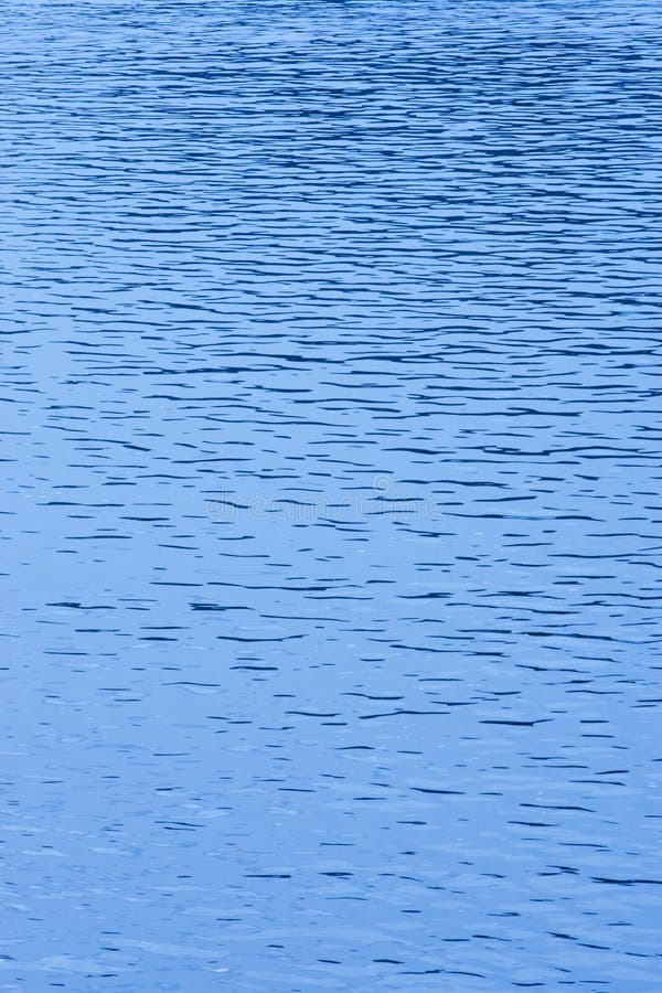 Water Ripples on Lake stock photo. Image of background - 11630440