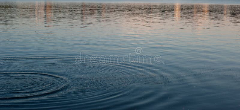 Water Ripples on Lake Circular Patterns on the Pond Stock Photo - Image ...