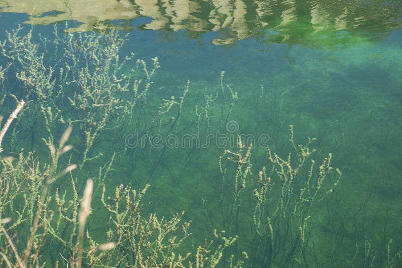 Water ripples on the lake stock image. Image of lake - 244974635
