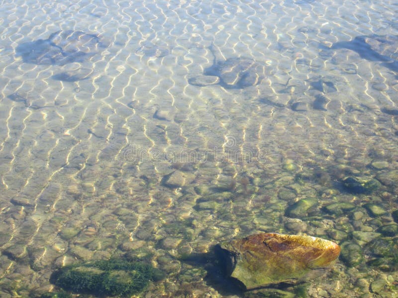 Water Ripples. stock image. Image of fish, patterns, rocky - 53881179