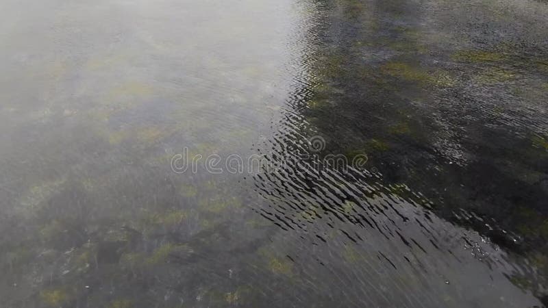 Water ripples in a pond stock video. Video of liquid - 346731143
