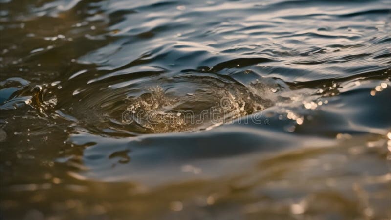 Water Ripples and Reflections Stock Video - Video of ripples, splash ...