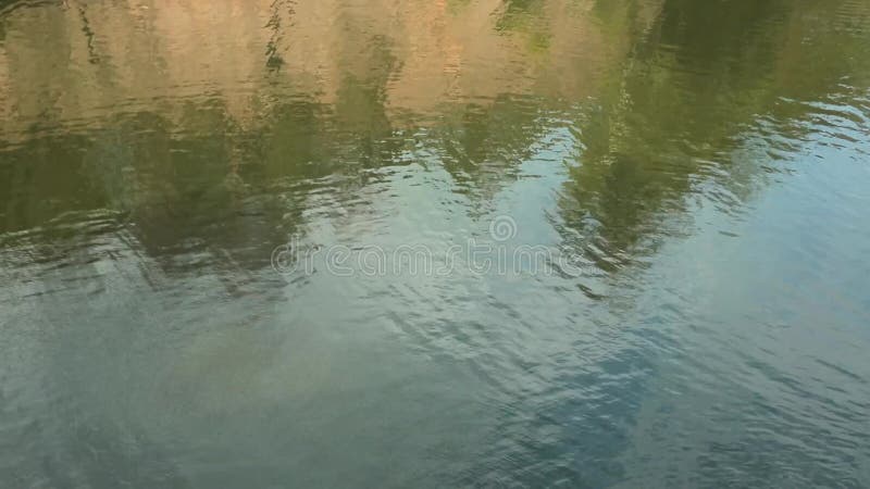 Water Ripples on the River. Reflection of Trees in the Lake Stock ...