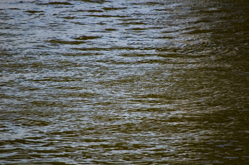 Water Ripples on the Stream Surface. Stock Image - Image of colours ...