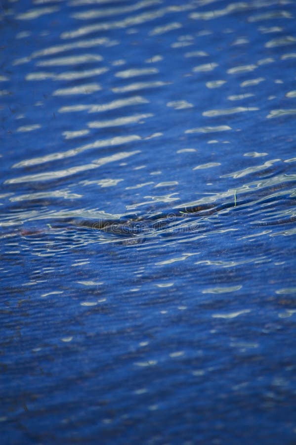 Water Ripples on the Stream Surface. Stock Image - Image of colours ...