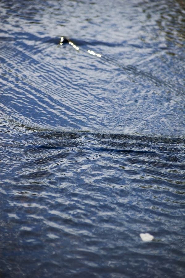 Water Ripples on the Stream Surface. Stock Photo - Image of colours ...