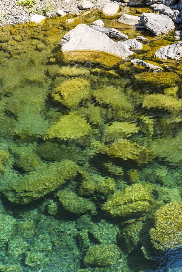 The Water Ripples on the Surface of the Pond. Stock Image - Image of ...