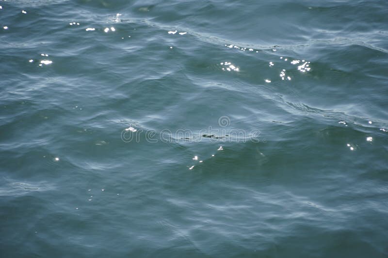 Water ripples texture stock image. Image of river, water - 319560801