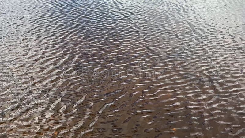 Water Ripples in the Wind Create a Abstract Texture Background Stock ...