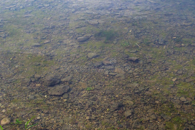 Water on the River Bank. Background with Copy Space or Backdrop Stock ...