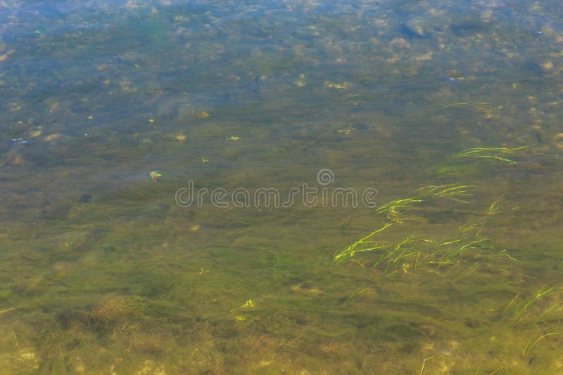 Water on the River Bank. Background with Copy Space or Backdrop Stock ...