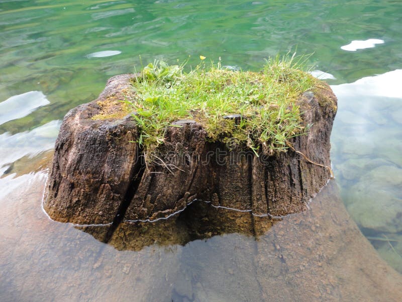 Water, Rock, Plant, Tree Picture. Image: 124940402
