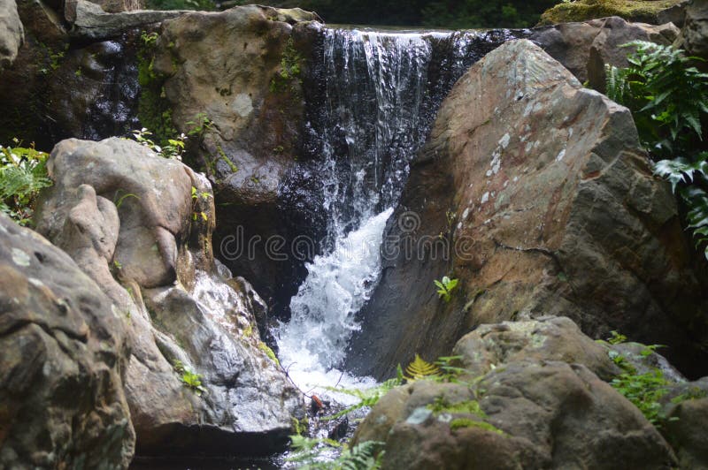 Water and rocks stock photo. Image of splash, water, refreshing - 79883012