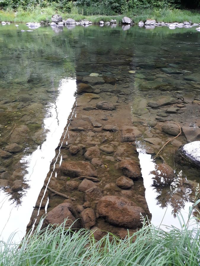Water Rocks Fish Washington River Stock Photo - Image of cliff, ridge ...