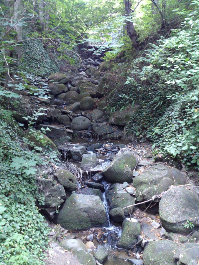 Water, Rocks and Trees in the Summer Stock Image - Image of forest ...