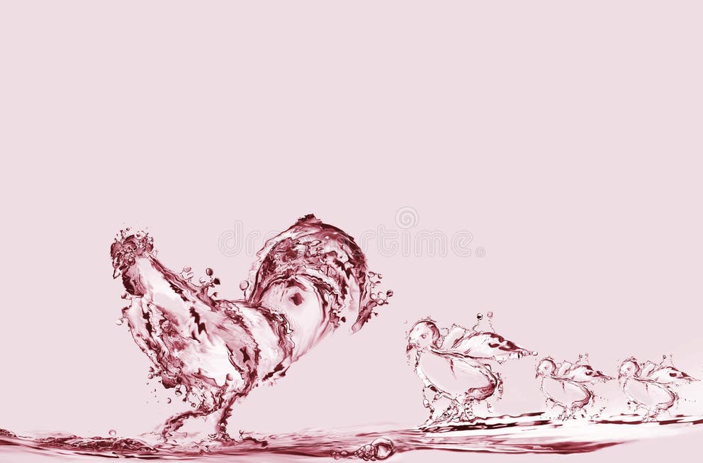 Red Water Rooster and Chicks Stock Illustration - Illustration of ...
