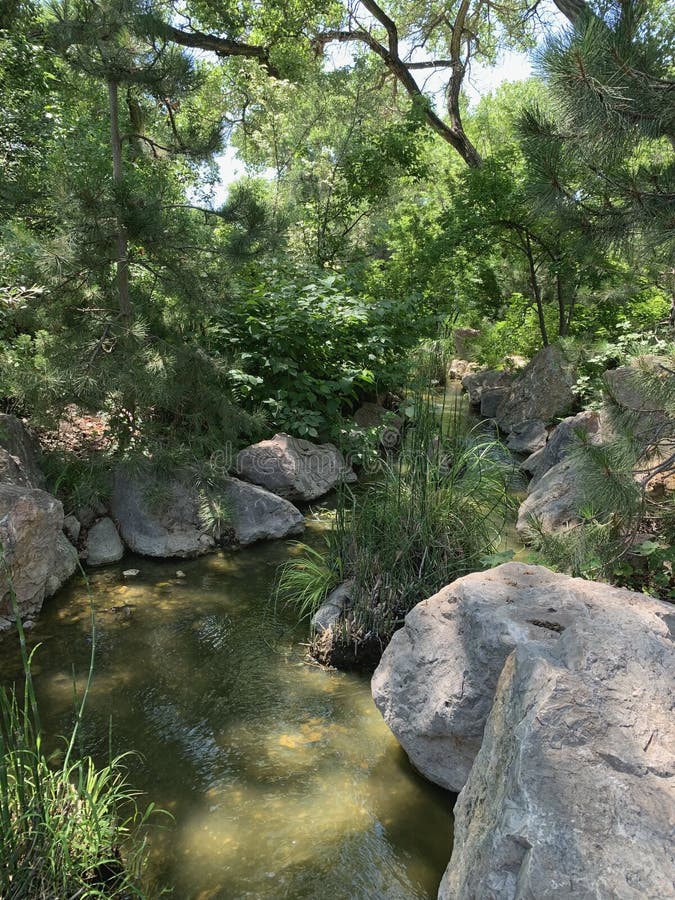Water run stock photo. Image of wilderness, trail, watercourse - 250516638