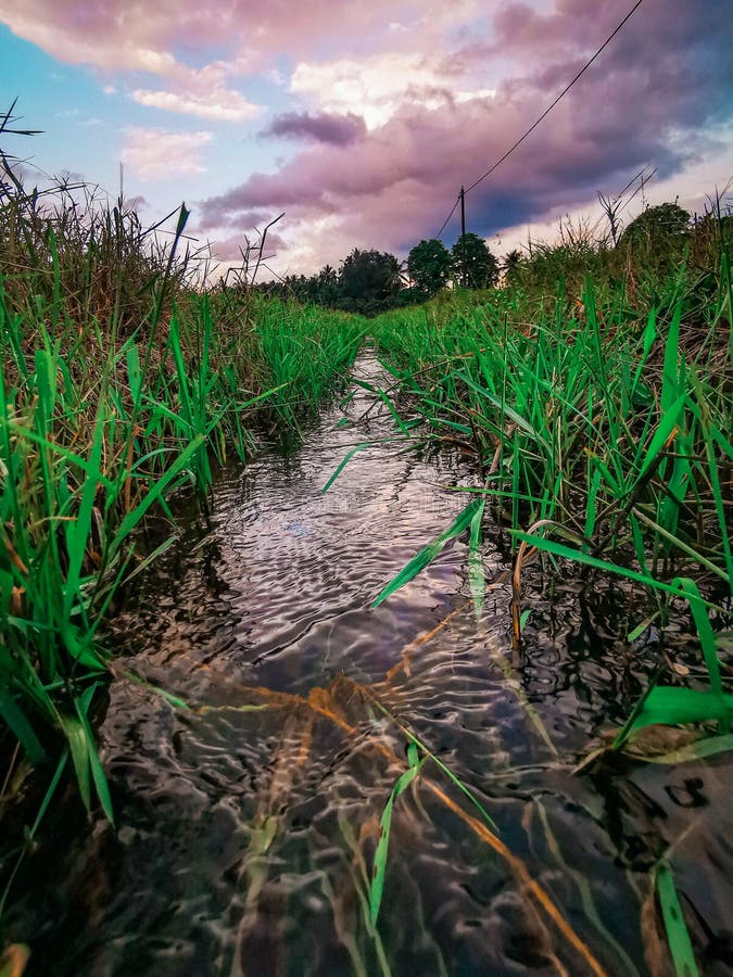 Water Running through a Channel Stock Photo - Image of clouds ...