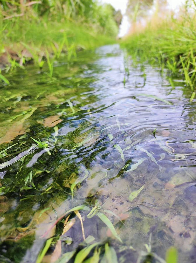 Water Running Down the Drain Stock Photo - Image of water, running ...