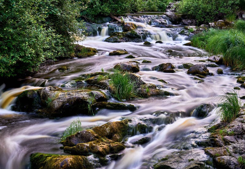 The Water that is Running Down the Side of the Forest Stock Photo ...