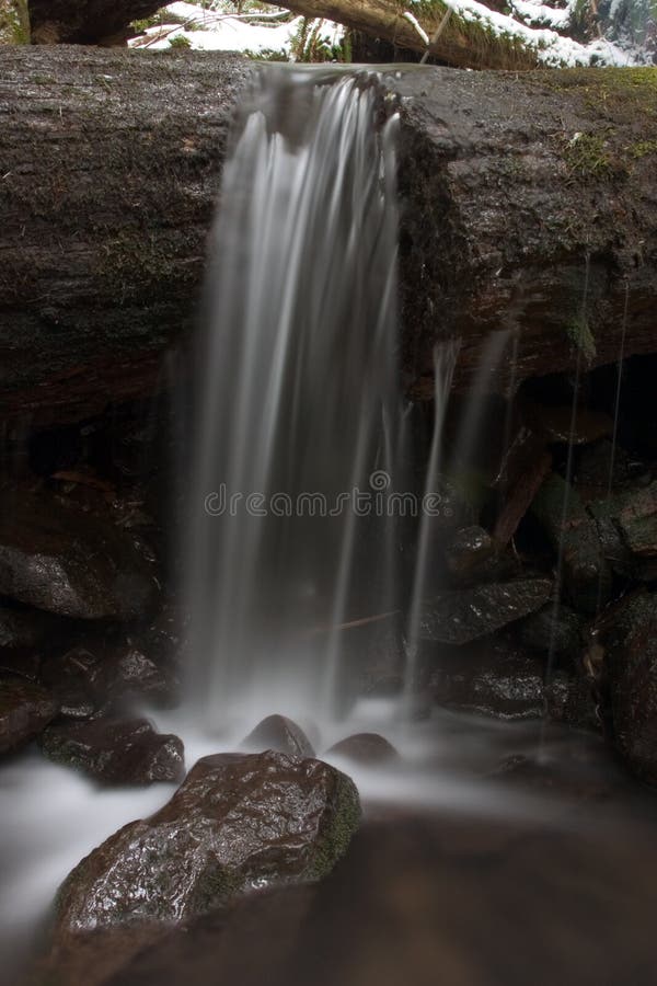 Waterfall In Oregon Picture. Image: 5530159