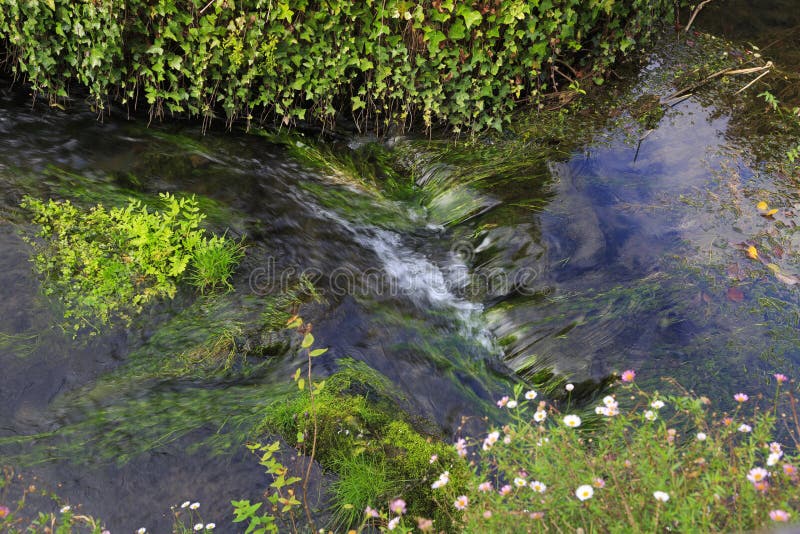 Water Running in a Pretty Stream Stock Image - Image of travel ...