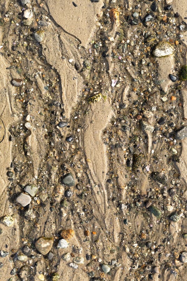 Water Running through Sand Exposing Small Rocks Stock Photo - Image of ...