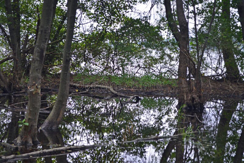 Water Runoff on Side of Lake Stock Image - Image of hiking, afternoon ...