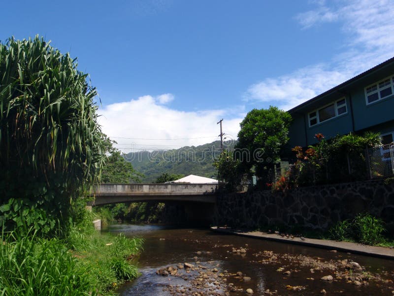 Water Runs Down Manoa Falls Waterfall Stock Photo - Image of ...