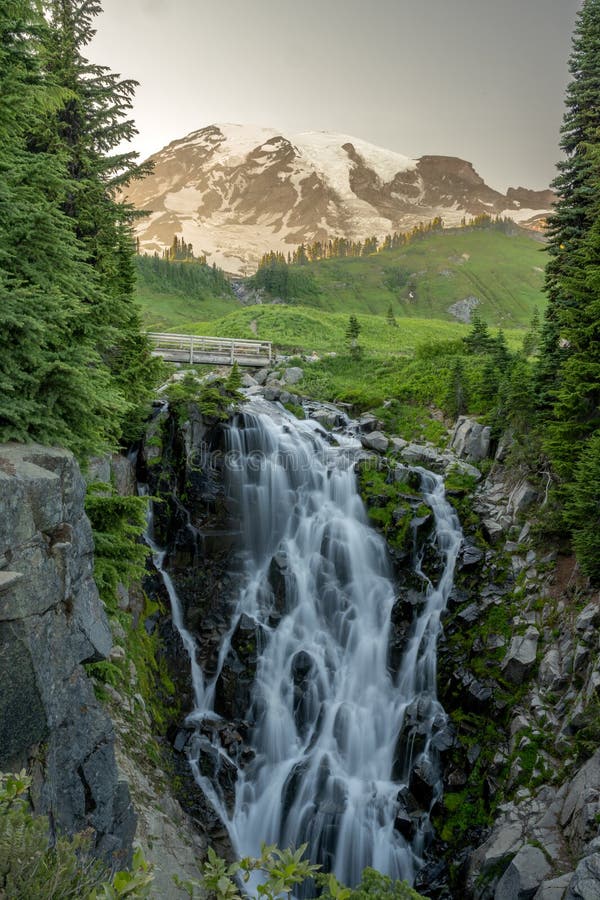 Water Rushes Over Myrtle Falls Below Mount Rainier Stock Image - Image ...