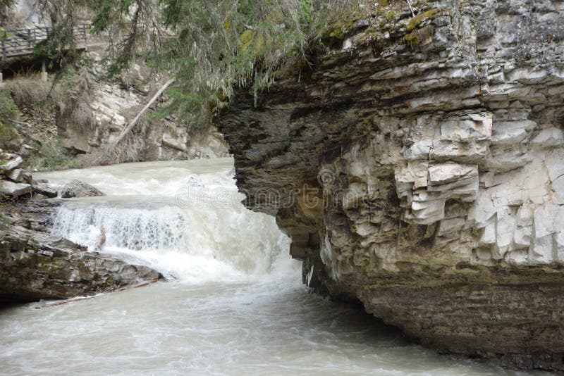 Water Rushing Down a Mountain, Stock Photo - Image of pine, rushing ...