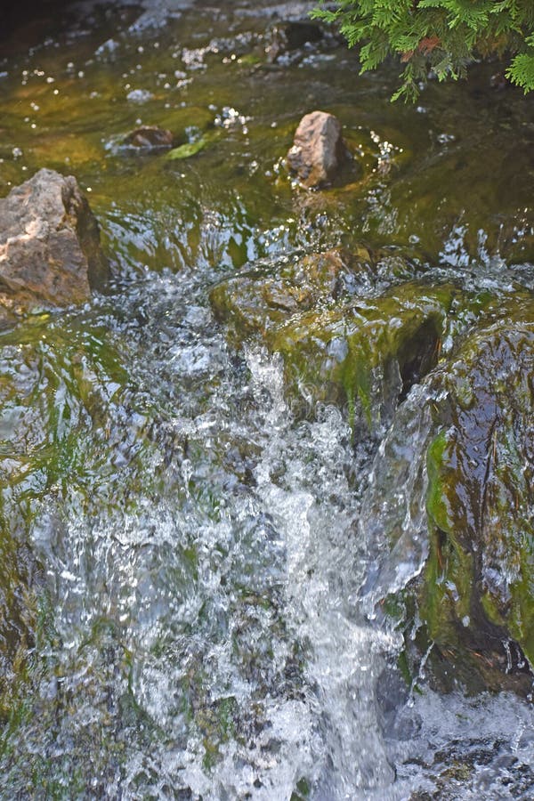 Water Rushing Downstream from Waterfall Stock Photo - Image of flowing ...